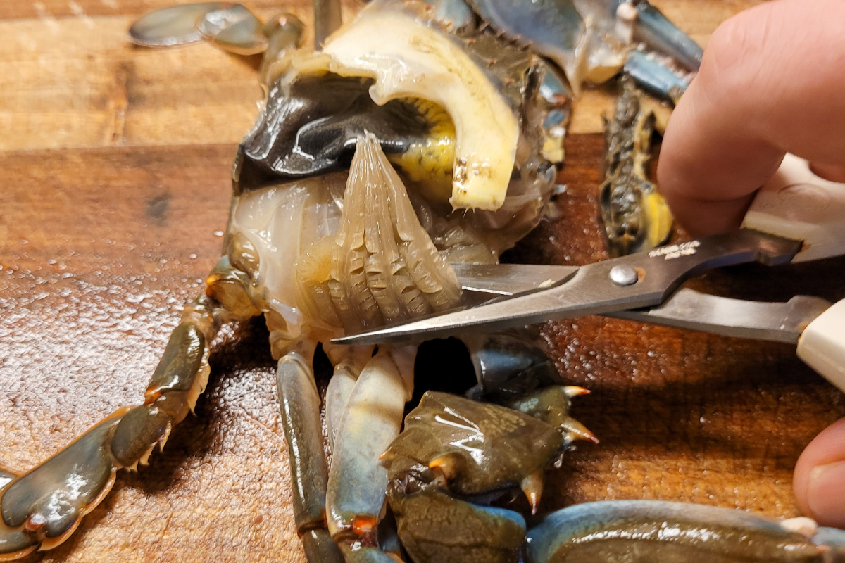 Thai Soft Shell Crab Curry - ปูนิ่มผัดผงกระหรี่ - Ian Benites